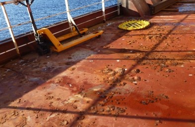 iasgroup Fabric Maintenance on FPSO - IAS Group