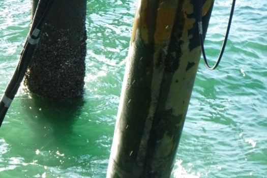 iasgroup Marine Growth & Corrosion Removal - Structural Jetty Piles ...