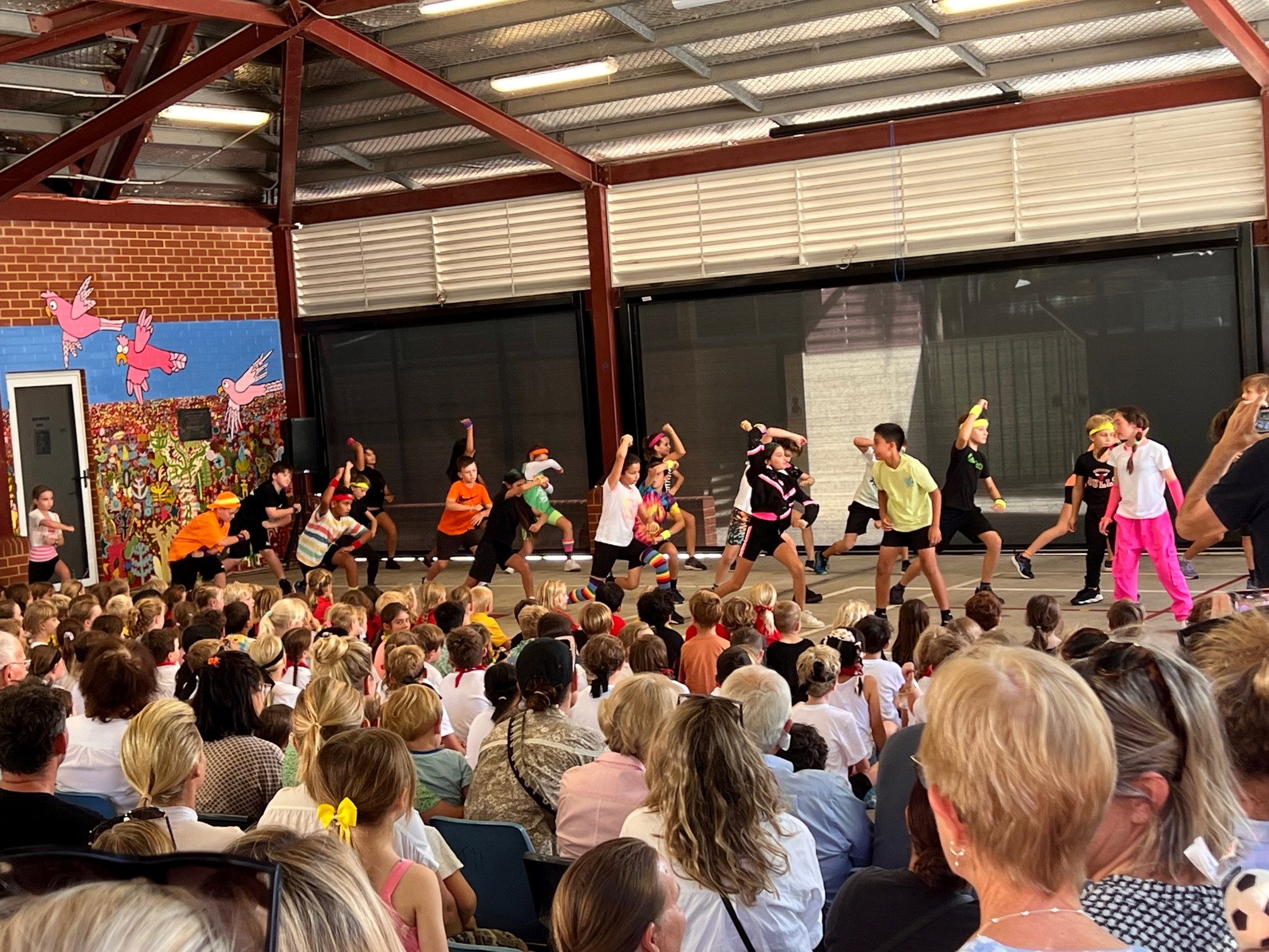 Edudance - MPPS