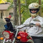 Winston's Wag of Approval for Raffle Donations | Black Dog Ride