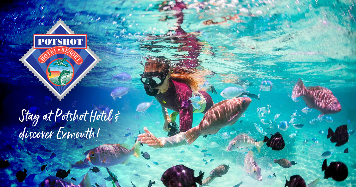 Introduction Potshot Exmouth