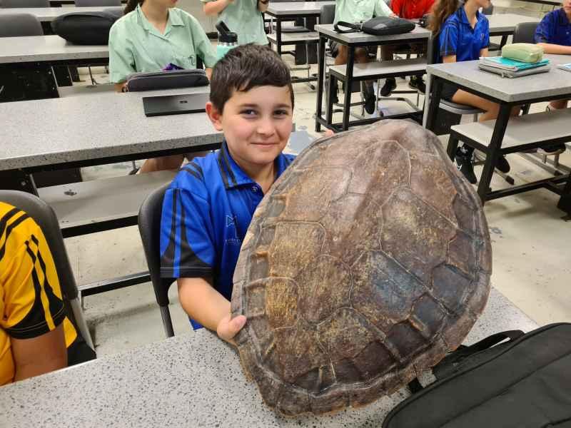 Turtle Monitoring | St Luke's College